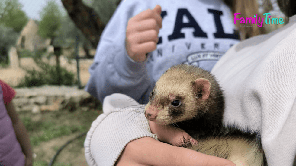 El Zoo de Lillo, un lugar para aprender sobre los animales
