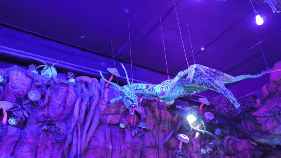 Runni Pandora, el restaurante para los amantes del sushi